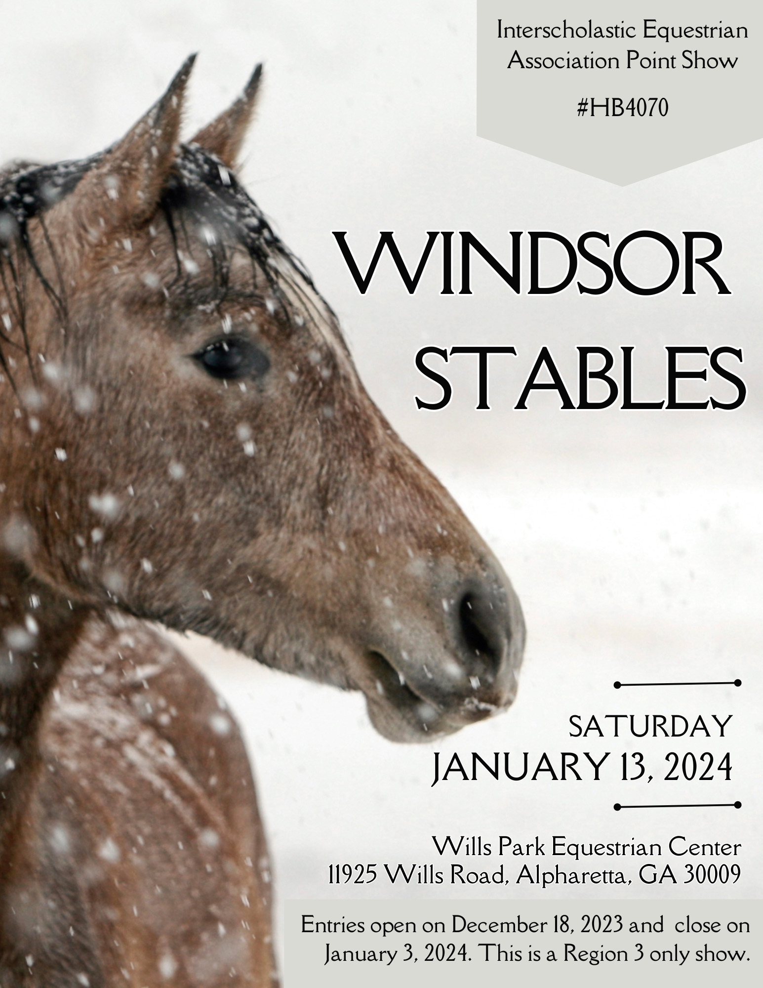 Windsor Stables IEA Show – Horse Show Docs
